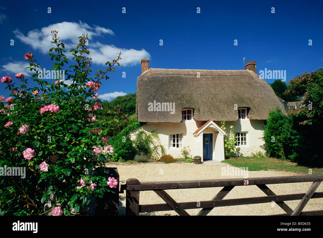 Thatched cottage with roses by the gate at West Lulworth Dorset England ...