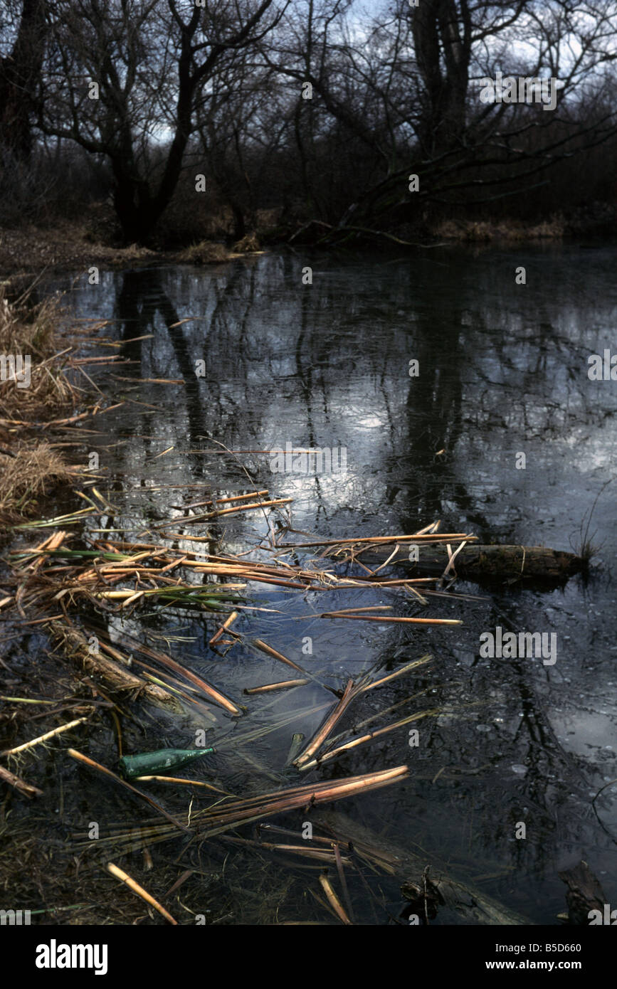 Swamp hag hi-res stock photography and images - Alamy