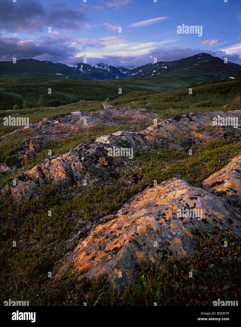 South Syterstopen, a mountain above Hemavan, Swedish Lapland, Sweden ...