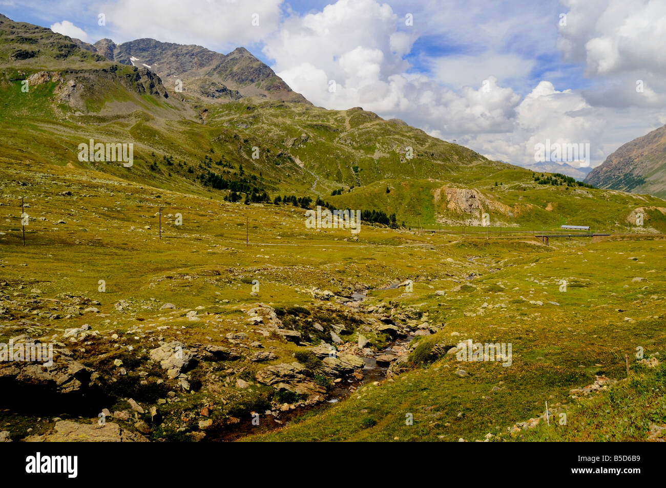 Alpine Meadow in Swiss Alps near St Moritz, Switzerland, Europe Stock ...