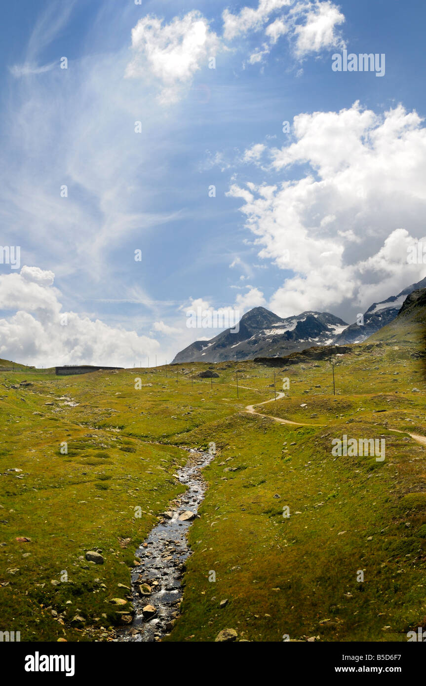 Alpine meadow in Swiss Alps near St Moritz, Switzerland, Europe Stock ...