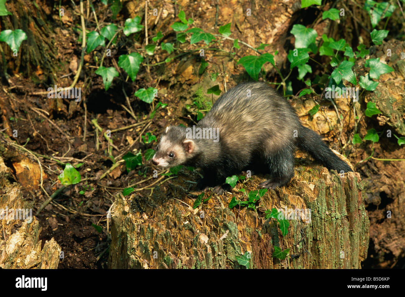 Robert harding picture library hi-res stock photography and images - Alamy