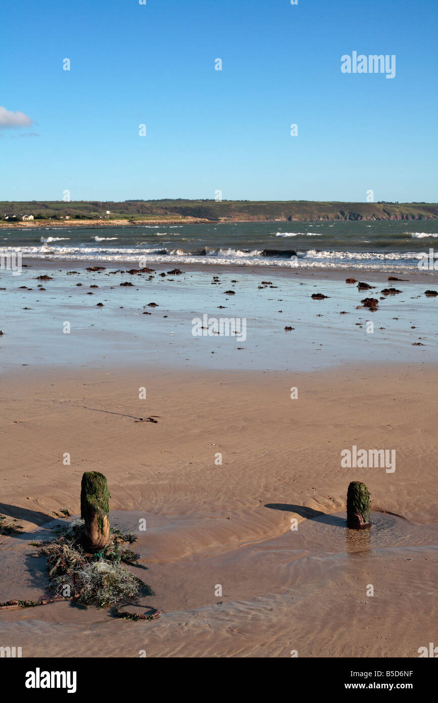 Ardmore beach hi-res stock photography and images - Alamy