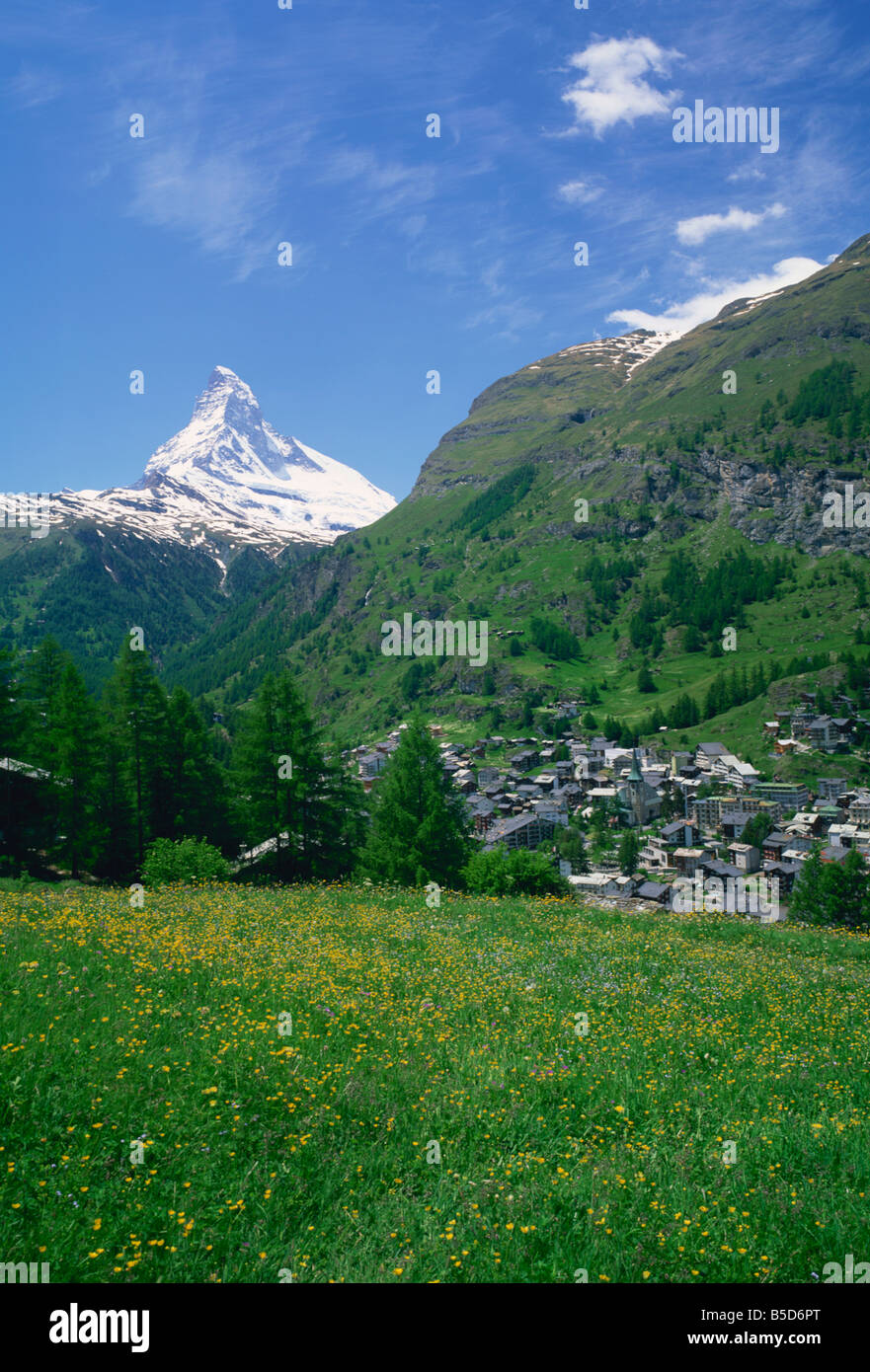 Wild flowers in a meadow with the town of Zermatt and the Matterhorn ...