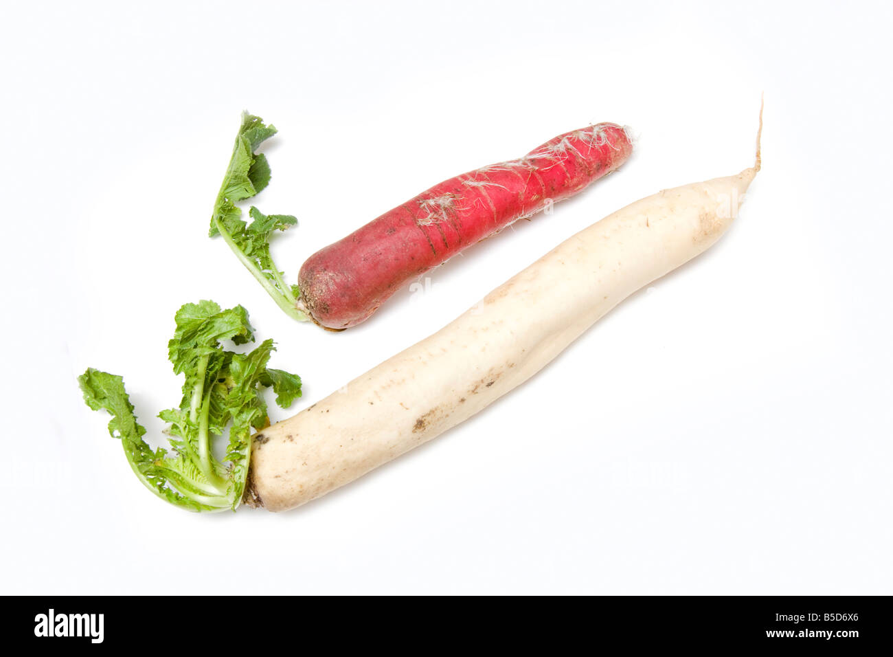 Mooli isolated on a white studio background Stock Photo - Alamy