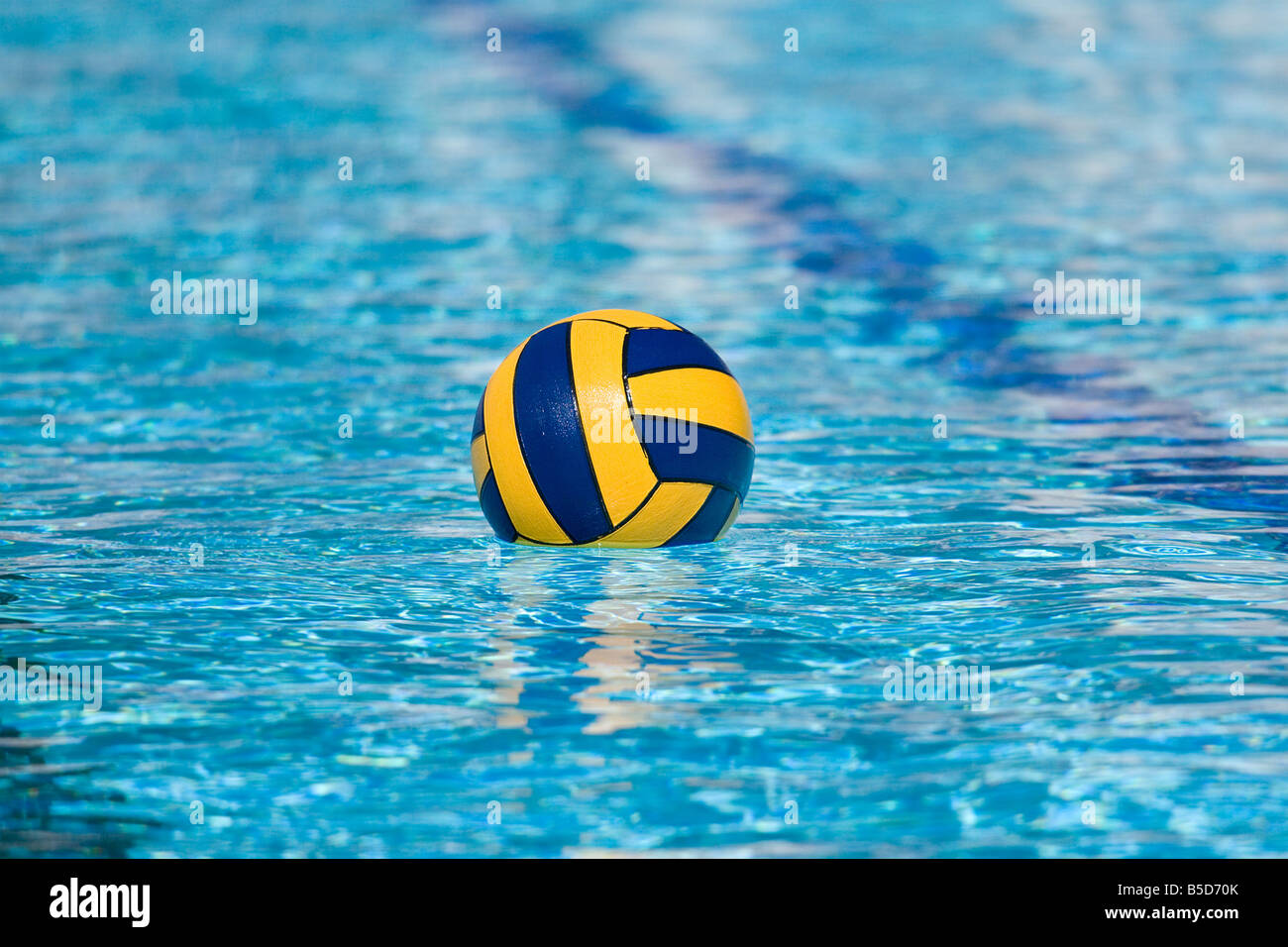 Water polo action and equipment in a swimming pool Stock Photo - Alamy