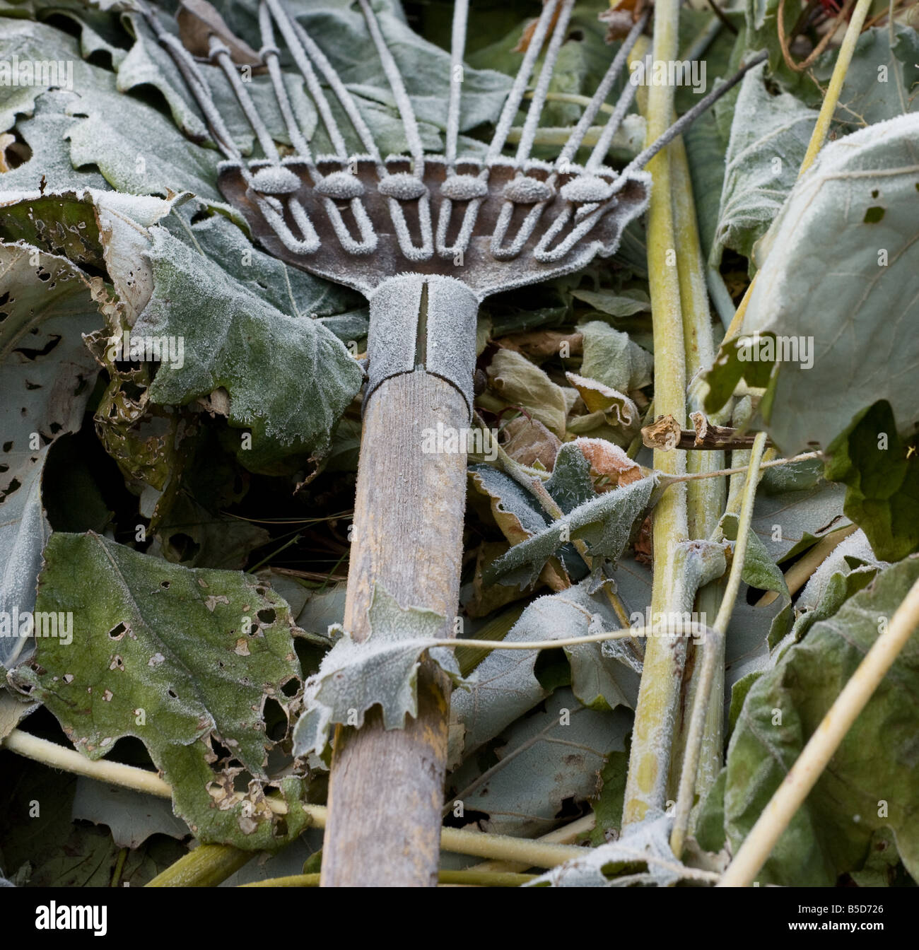 Garden rake frost hi-res stock photography and images - Alamy