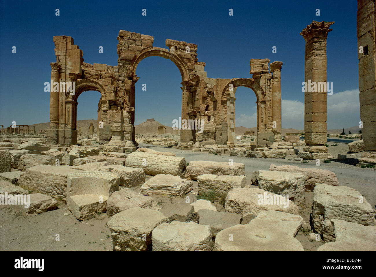 Archaeological site of palmyra hi-res stock photography and images - Alamy