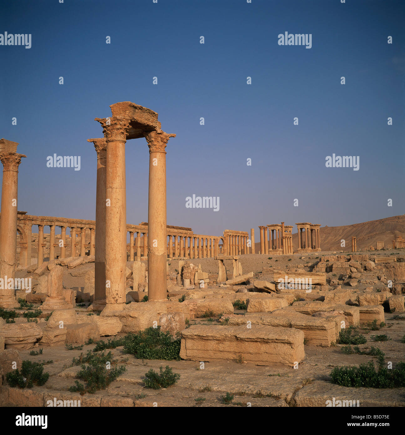 The Baths of Diocletian Roman dating from C3rd AD and the columned main ...