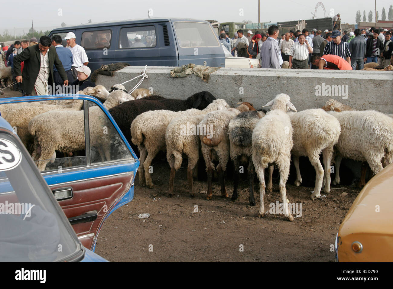 Sunday animal market in Karakol, Kyrgyzstan, Central Asia Stock Photo ...