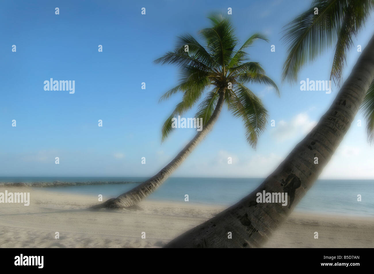 Close up travel paradise tourist hi-res stock photography and images ...