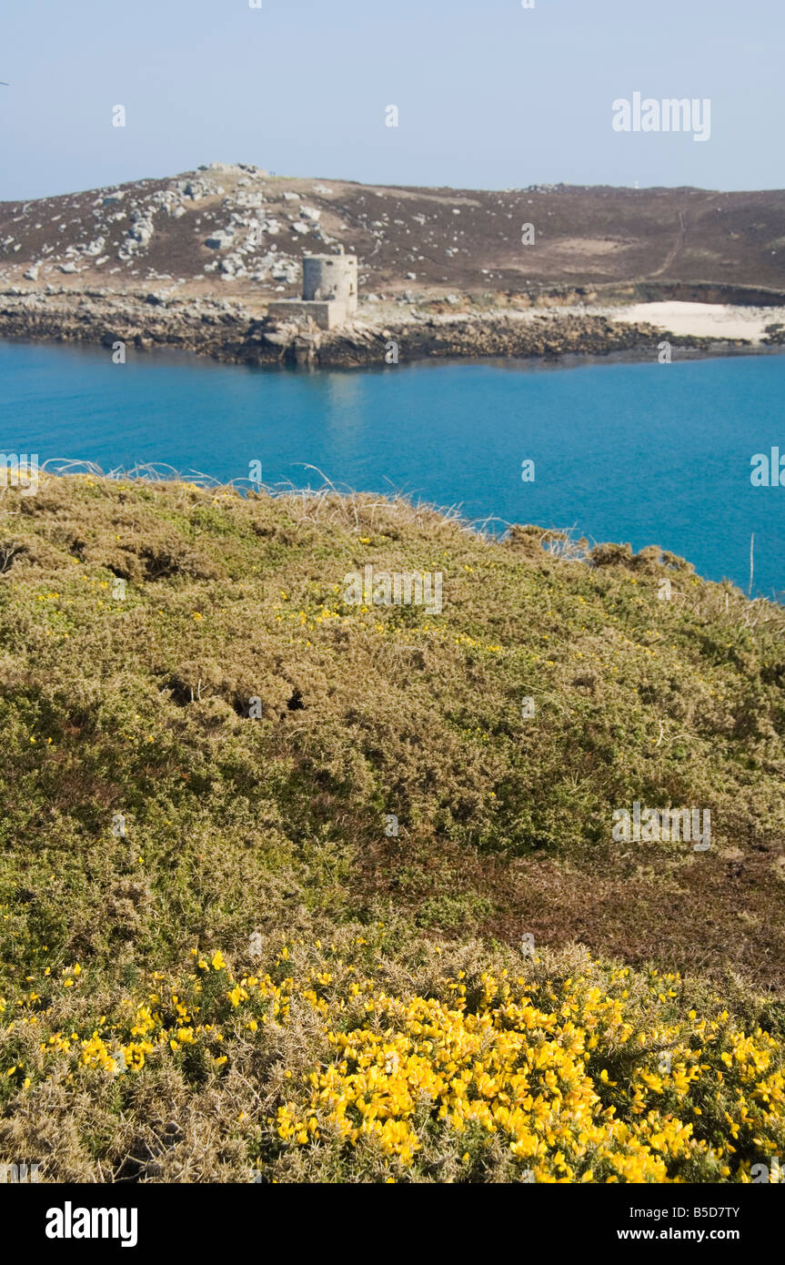 Cornwall the scilly isles hi-res stock photography and images - Alamy