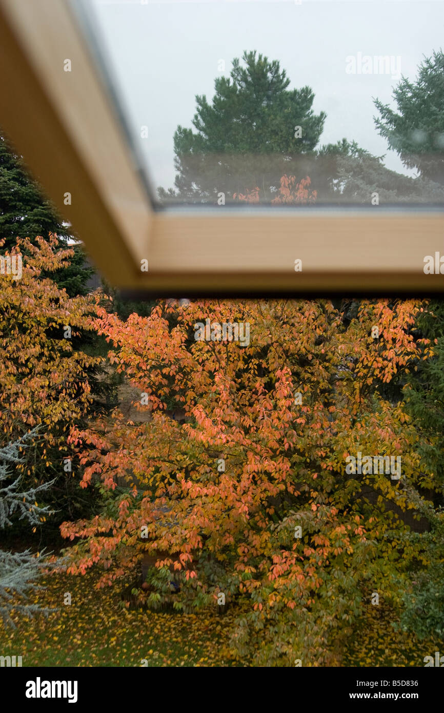 view from a window Stock Photo - Alamy