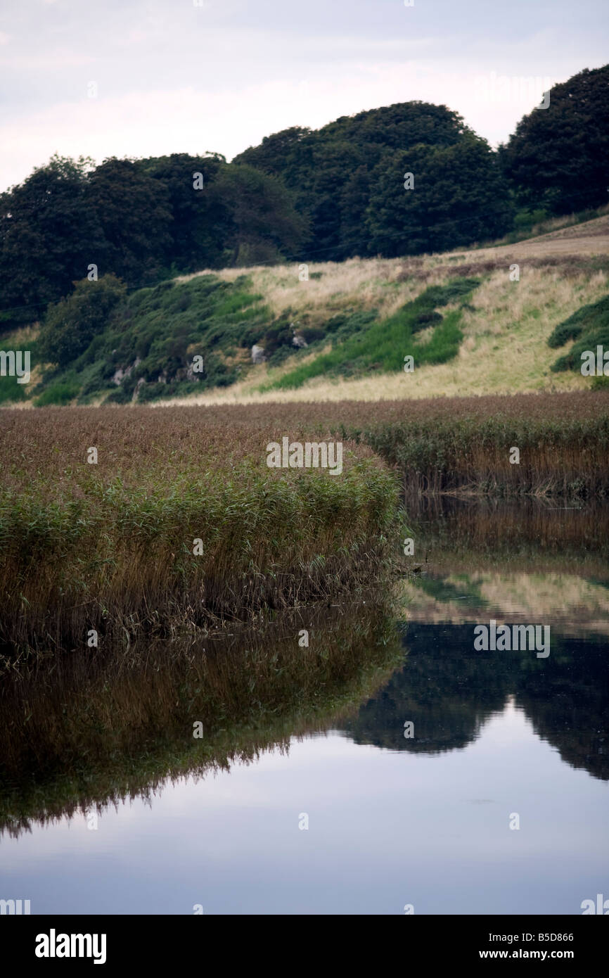 River Ythan High Resolution Stock Photography and Images - Alamy