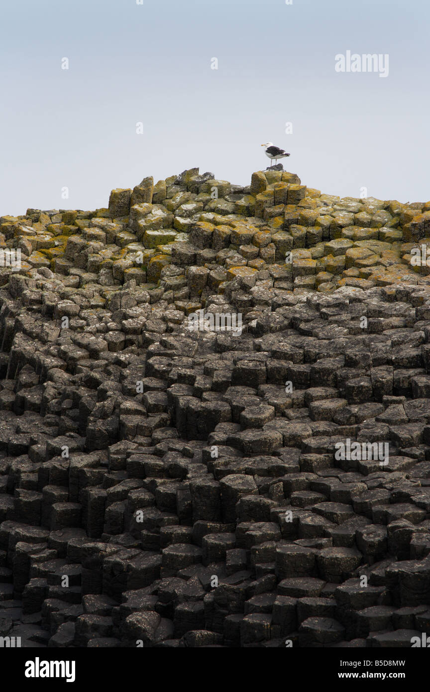 Island of staff scotland fingal's cave hi-res stock photography and ...