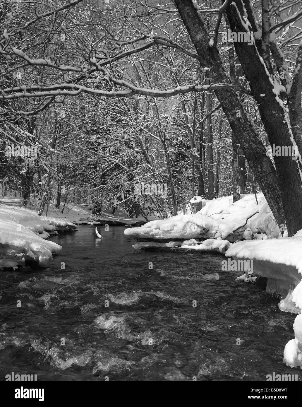 Bank winter Black and White Stock Photos & Images - Alamy