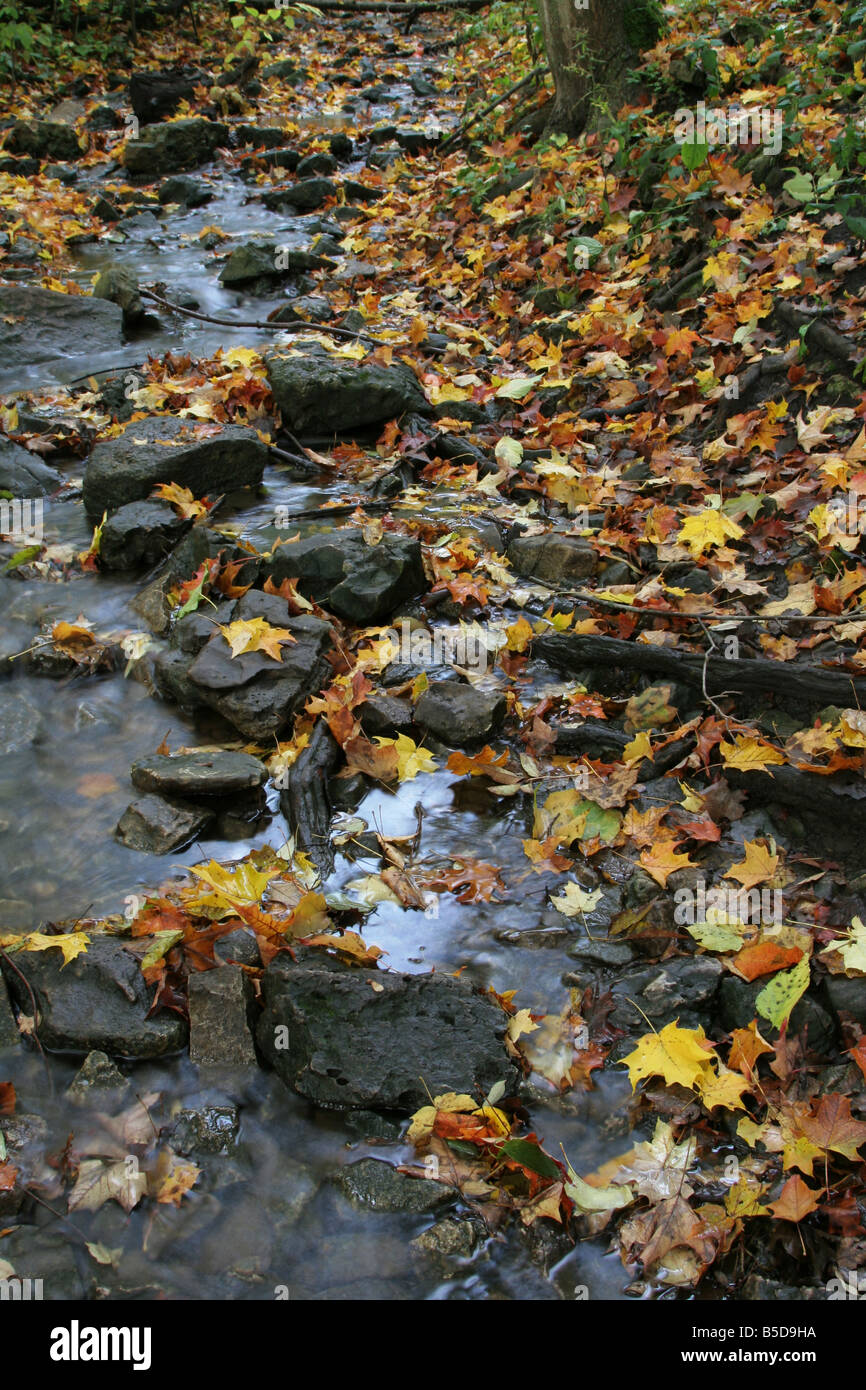 Water stream floor hi-res stock photography and images - Alamy