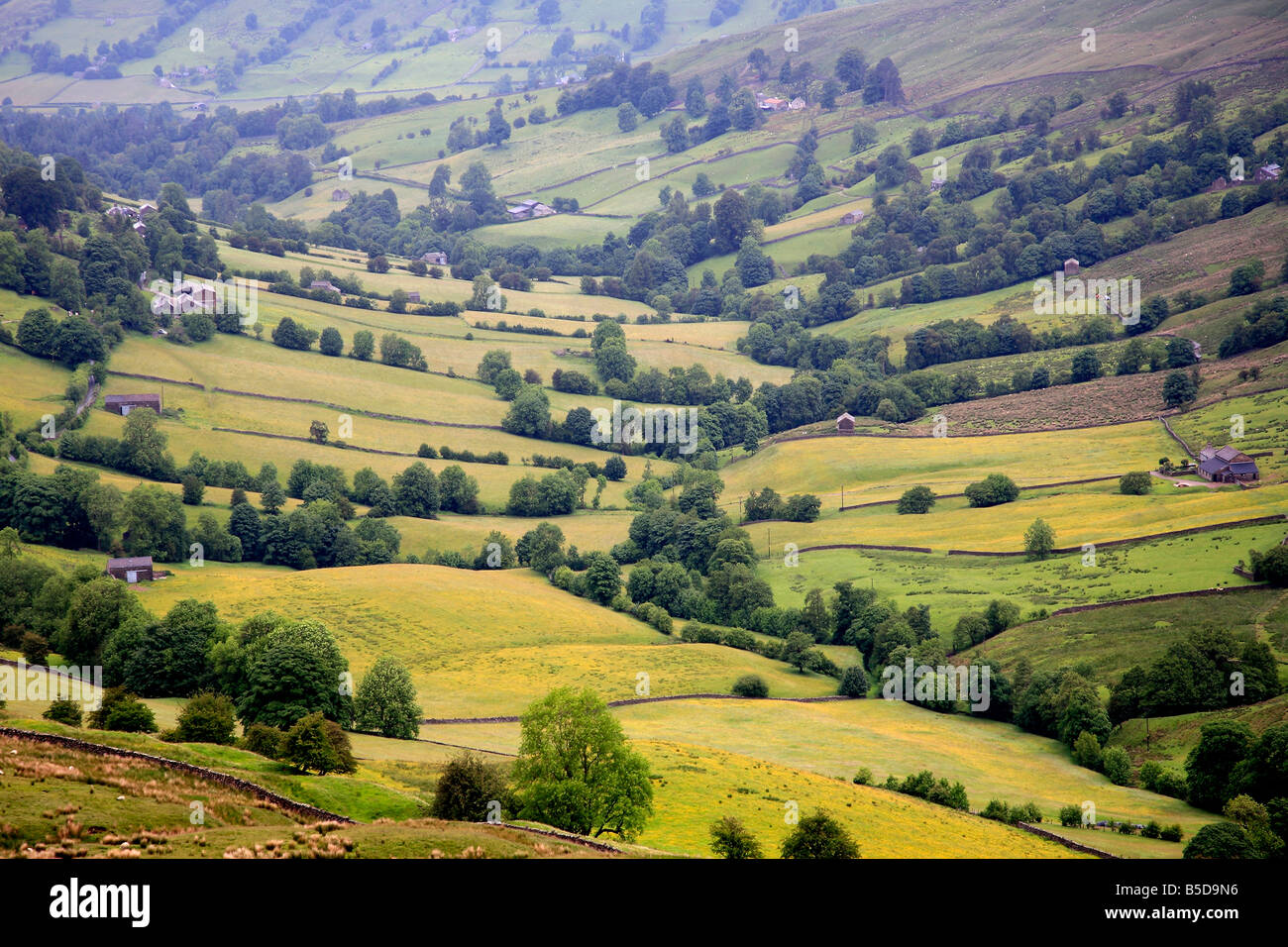 Summer Landscape Dentdale Valley Yorkshire Dales National Park Cumbria ...