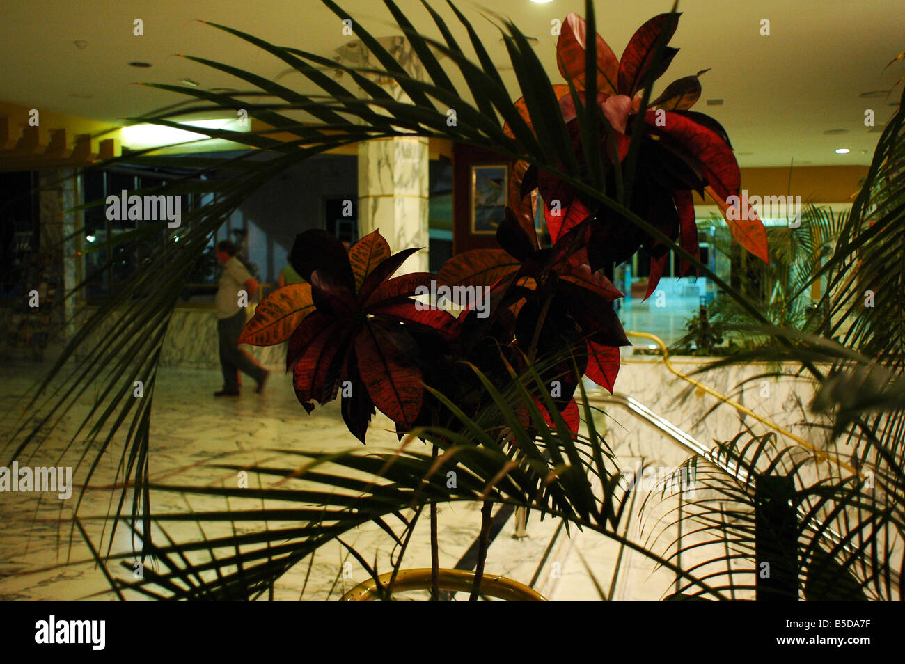 Hotel reception Gran Canaria Puerto Rico Stock Photo - Alamy