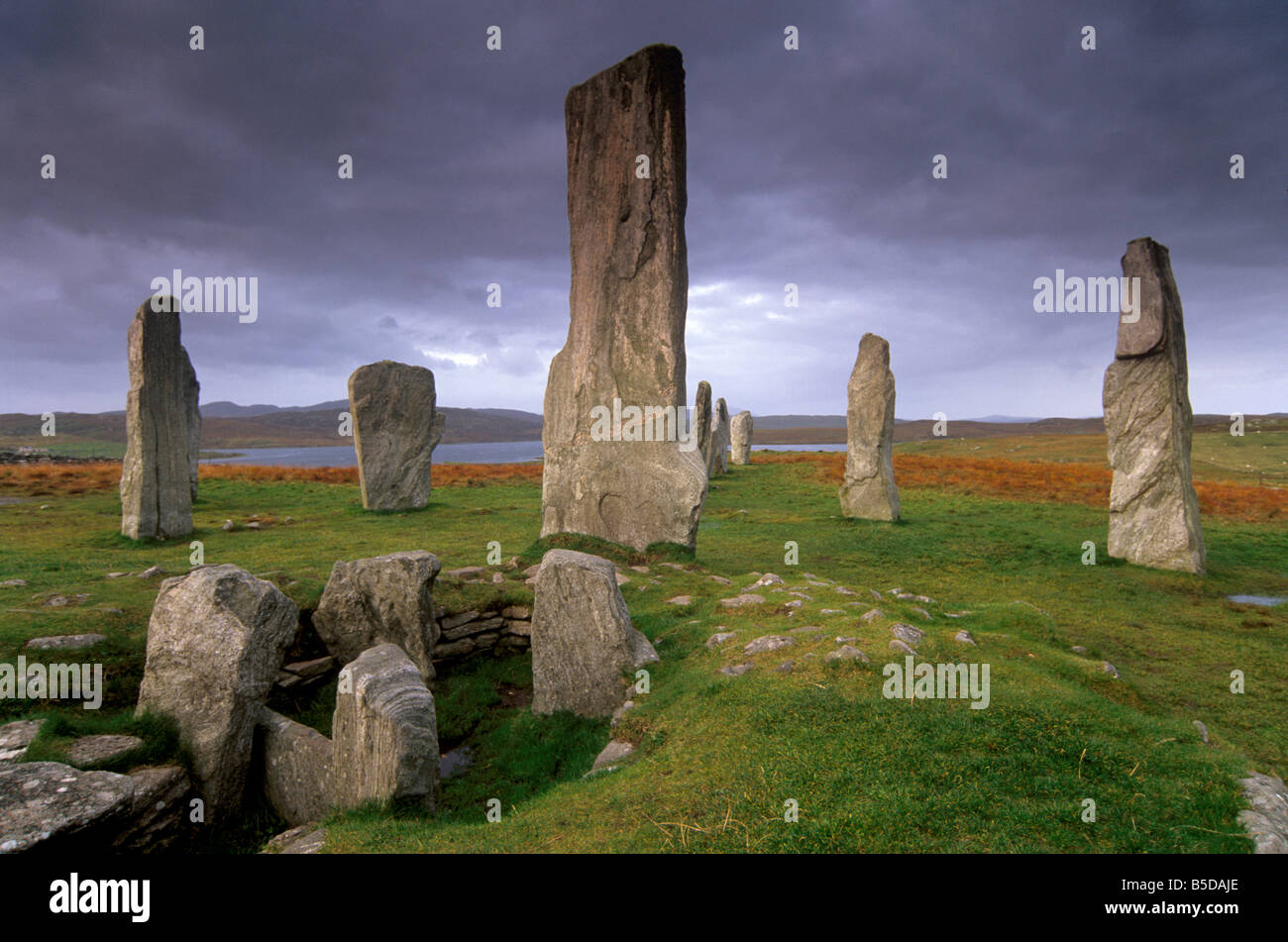 Callanish (Callanais) Standing Stones, erected by Neolithic people ...