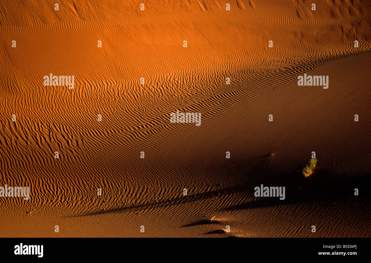 Dune Patterns Namib Desert Namibia Africa Stock Photo - Alamy