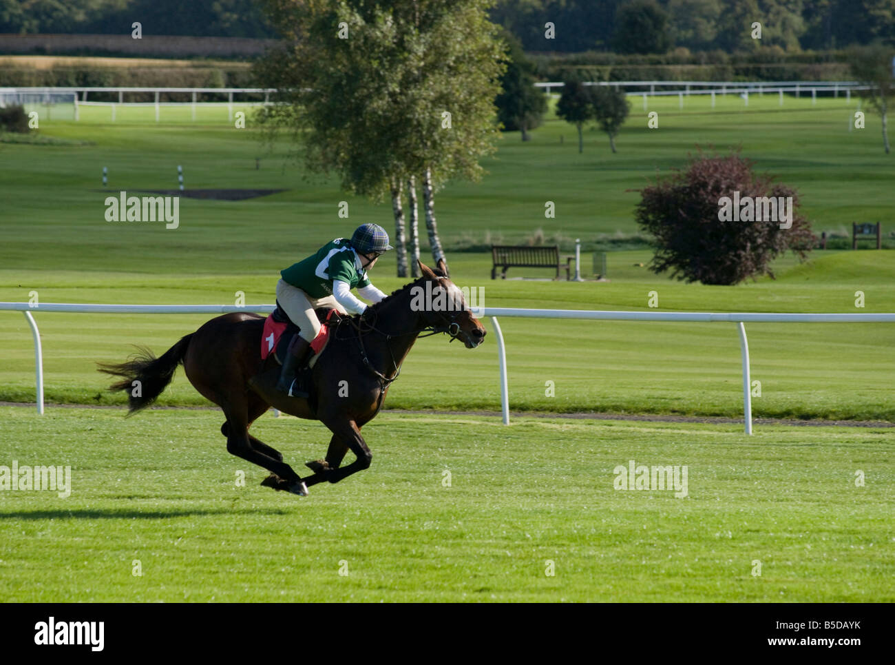 Kelso racecourse hi-res stock photography and images - Alamy