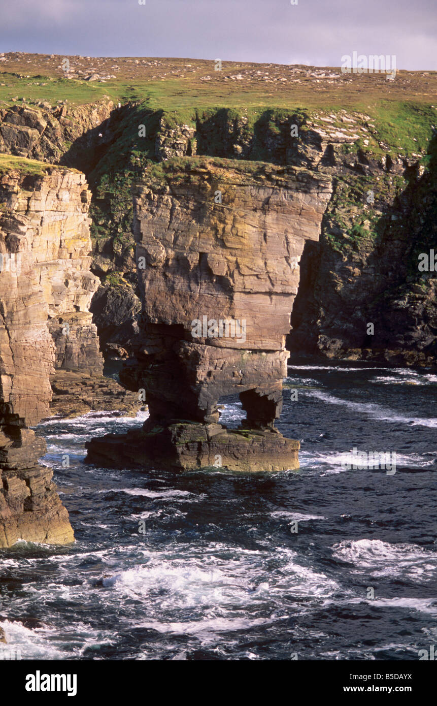 Yesnaby Castle sea stack, rock eroded by the sea, Mainland, Orkney ...