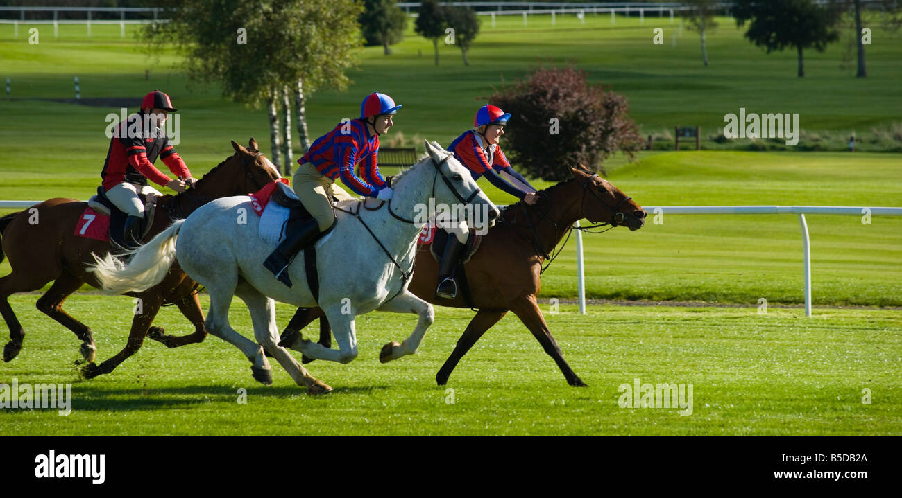 Kelso racecourse hi-res stock photography and images - Alamy