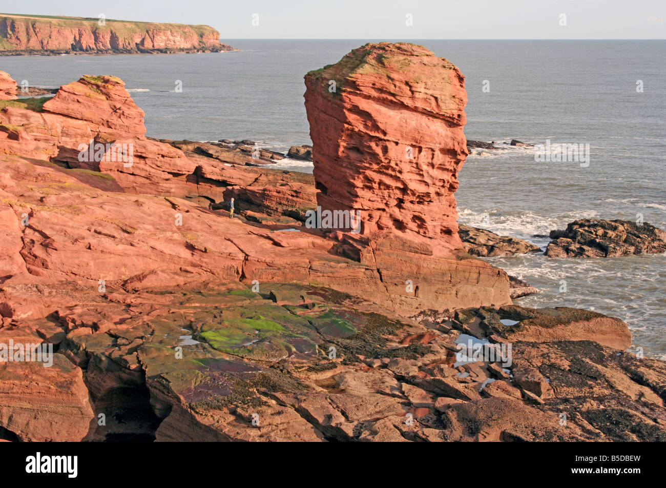 Red sandstone stack hi-res stock photography and images - Alamy