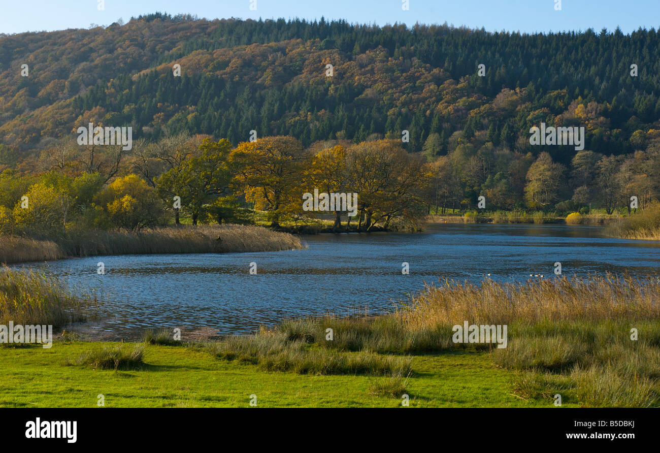 Windermere in the lake district hi-res stock photography and images - Alamy