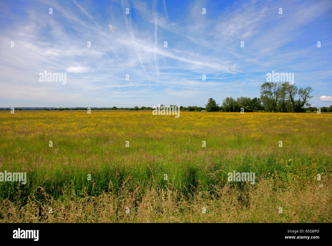 The somerset levels hi-res stock photography and images - Alamy