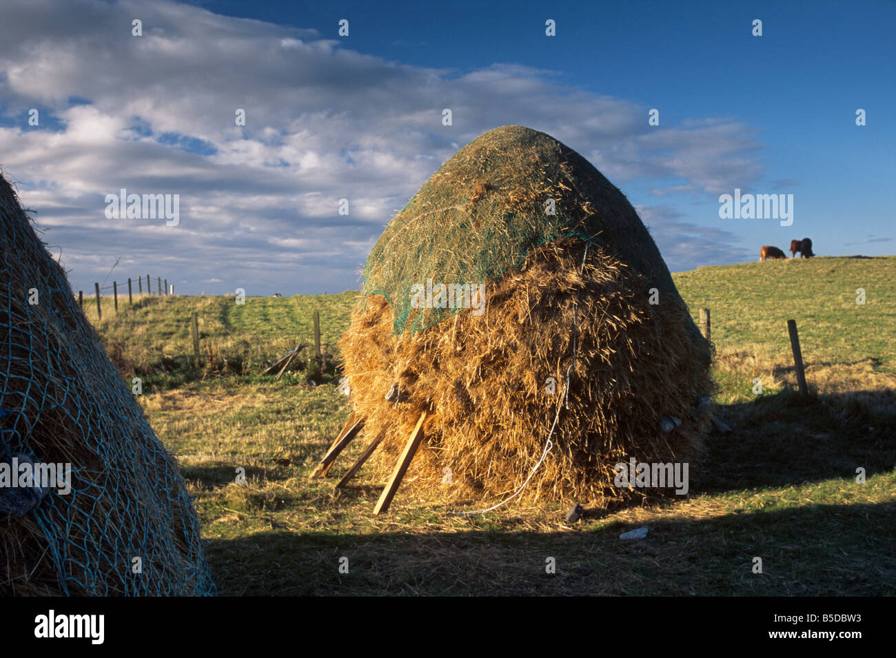 Crofting land hi-res stock photography and images - Alamy