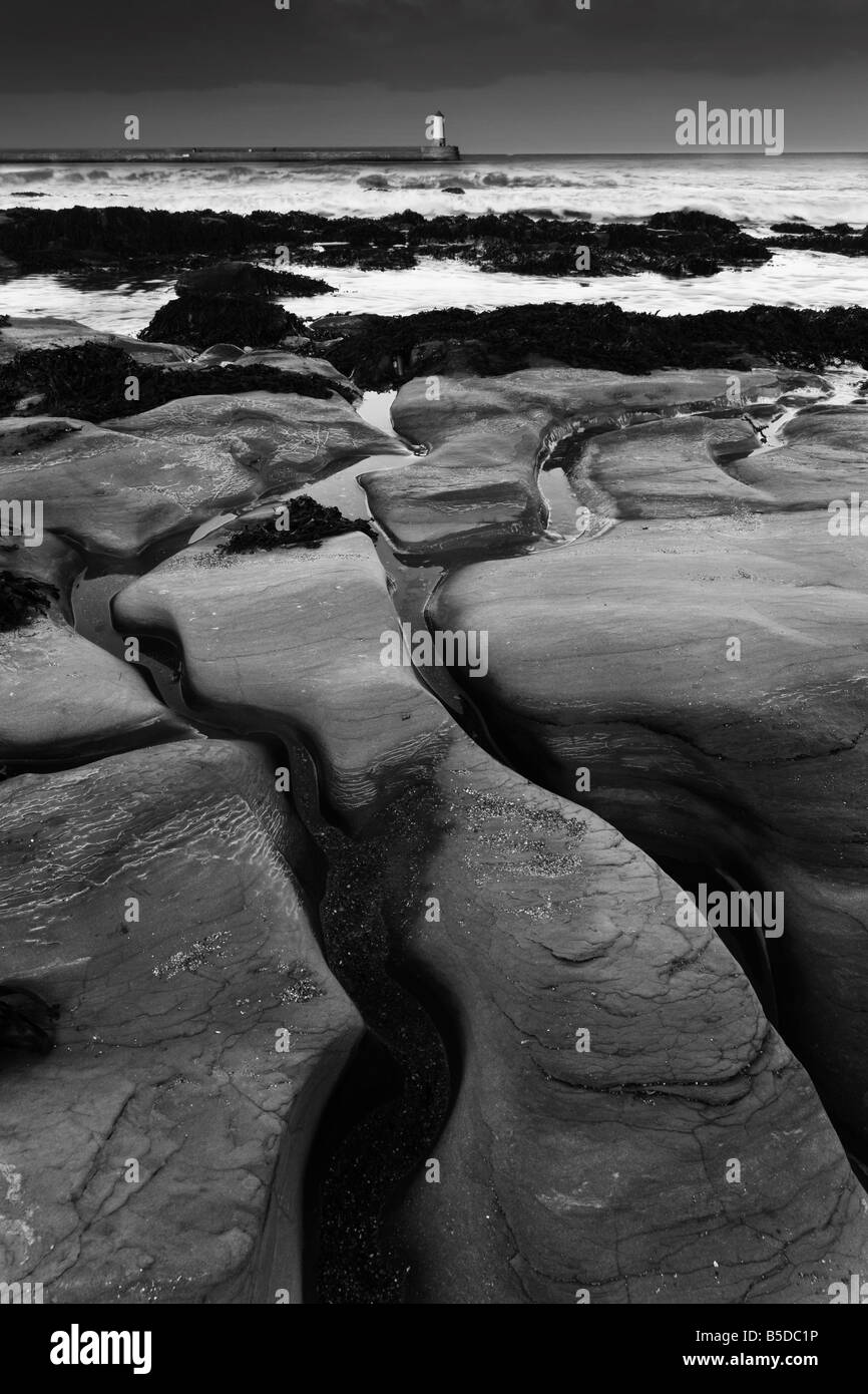 Spittal beach mouth of River Tweed near Berwick rocks on the tideline ...