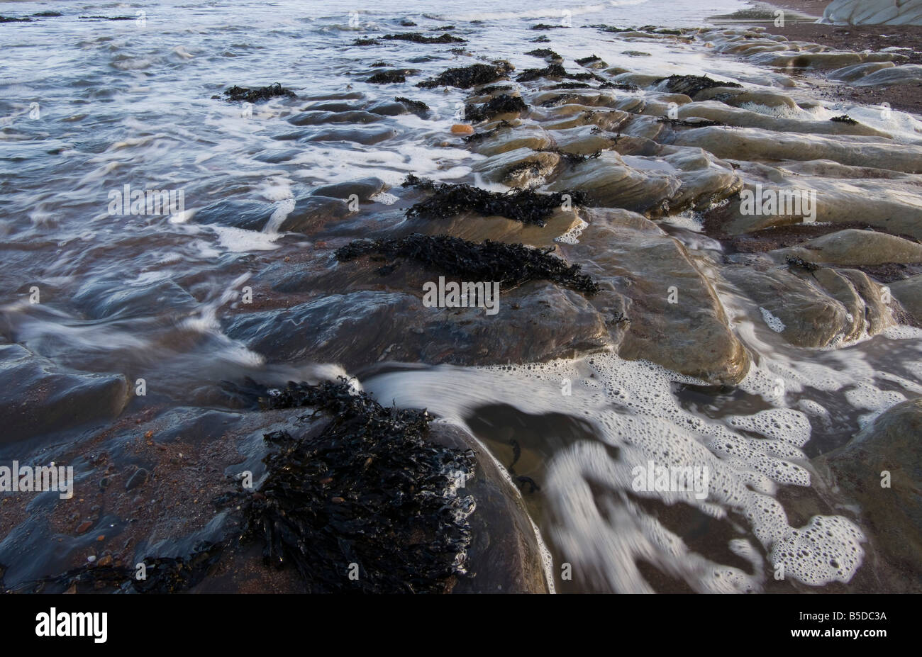 Spittal beach mouth of River Tweed near Berwick rocks on the tideline ...