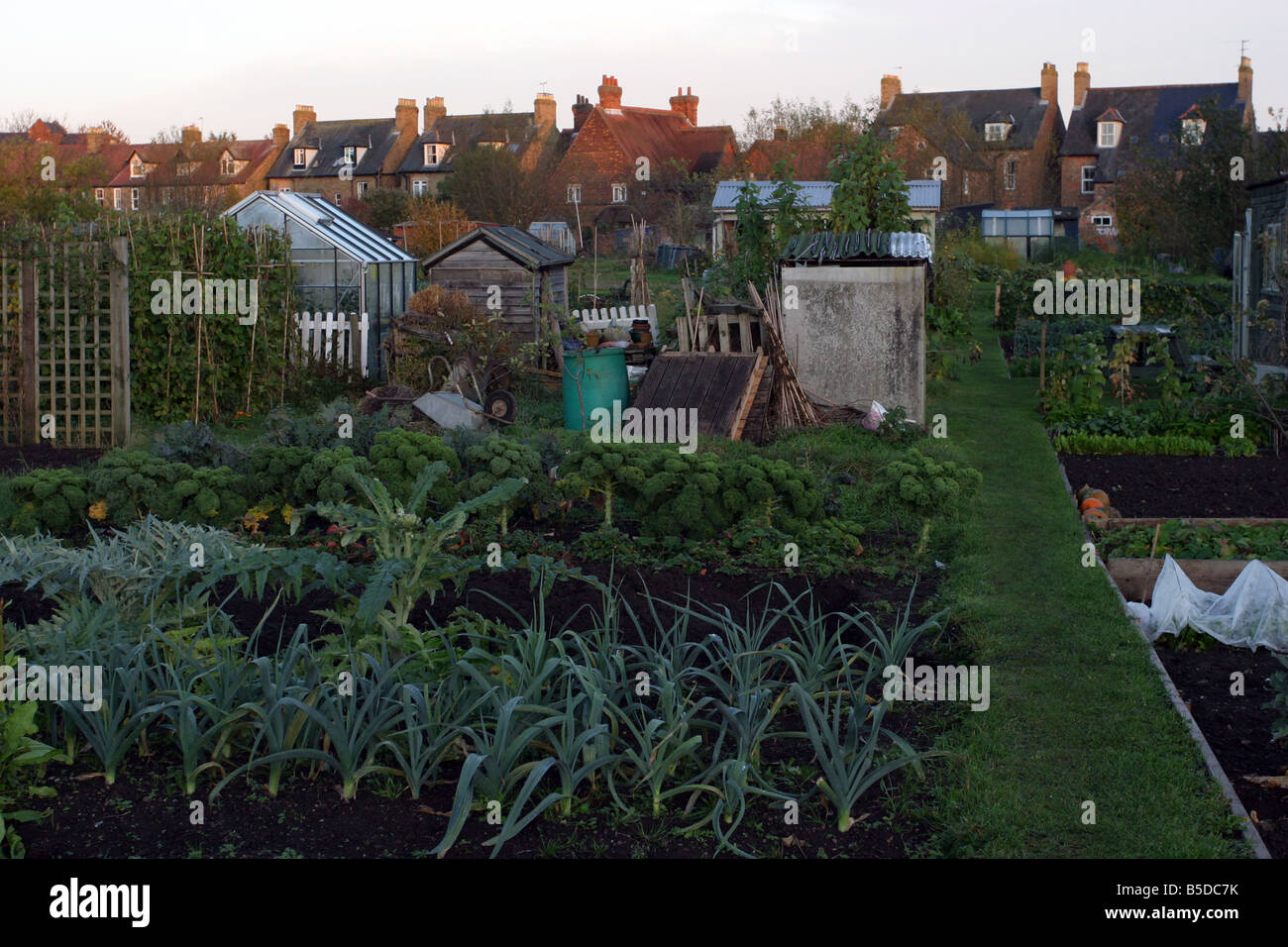 Allotment allotments urban city hi-res stock photography and images - Alamy