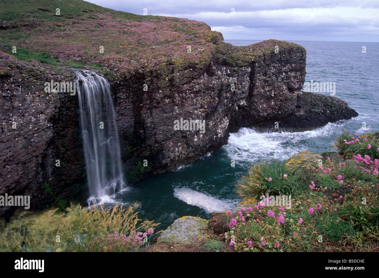 Sheer cliffs of old red sandstone conglomerate, RSPB's Fowlsheug Bird ...