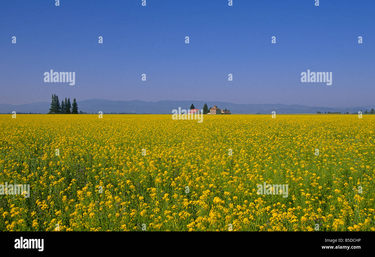 Flathead valley hi-res stock photography and images - Alamy
