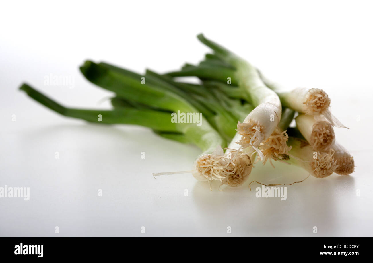 Bunch of spring onions hi-res stock photography and images - Alamy