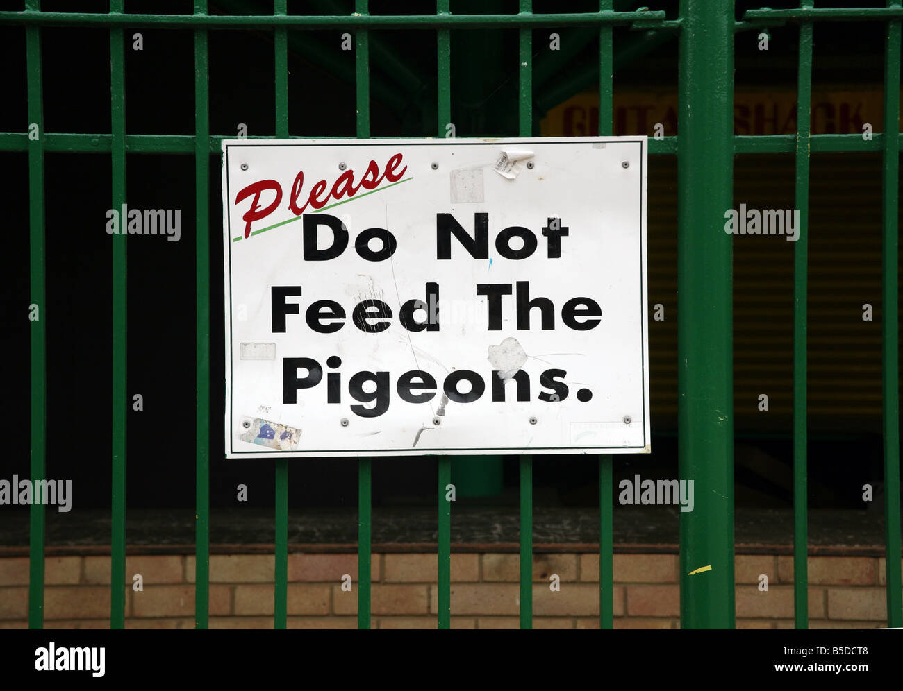 Pigeons [do not feed] hi-res stock photography and images - Alamy