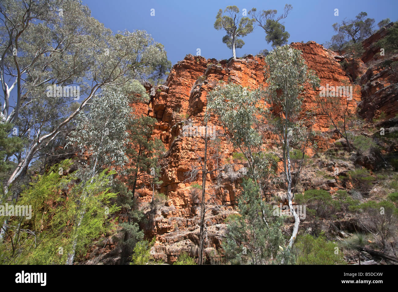 Alligator gorge australia hi-res stock photography and images - Alamy