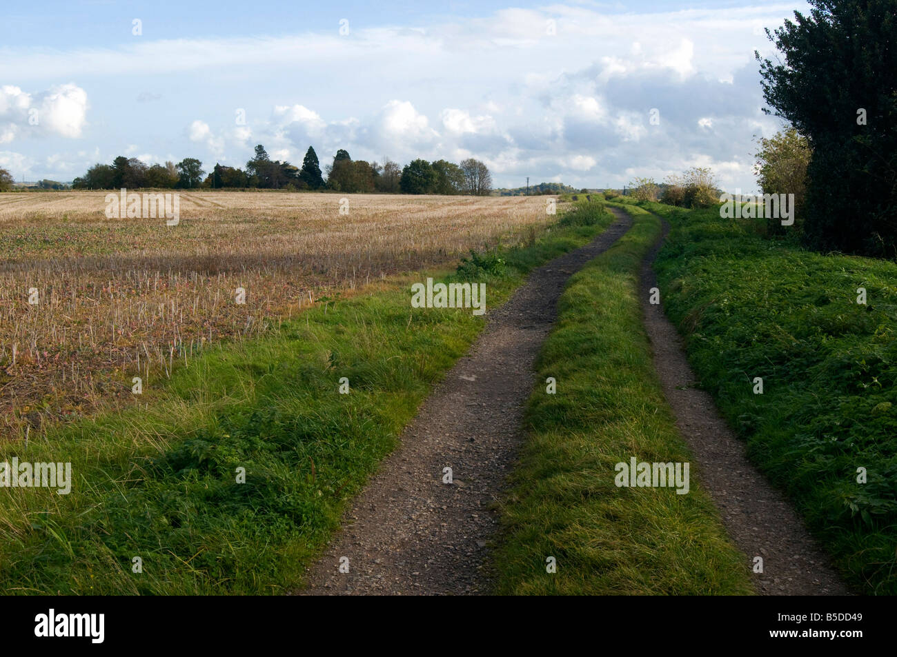 Quorn in leicestershire hi-res stock photography and images - Alamy