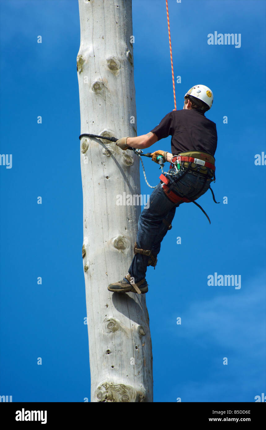 Pole climbing competition hi-res stock photography and images - Alamy