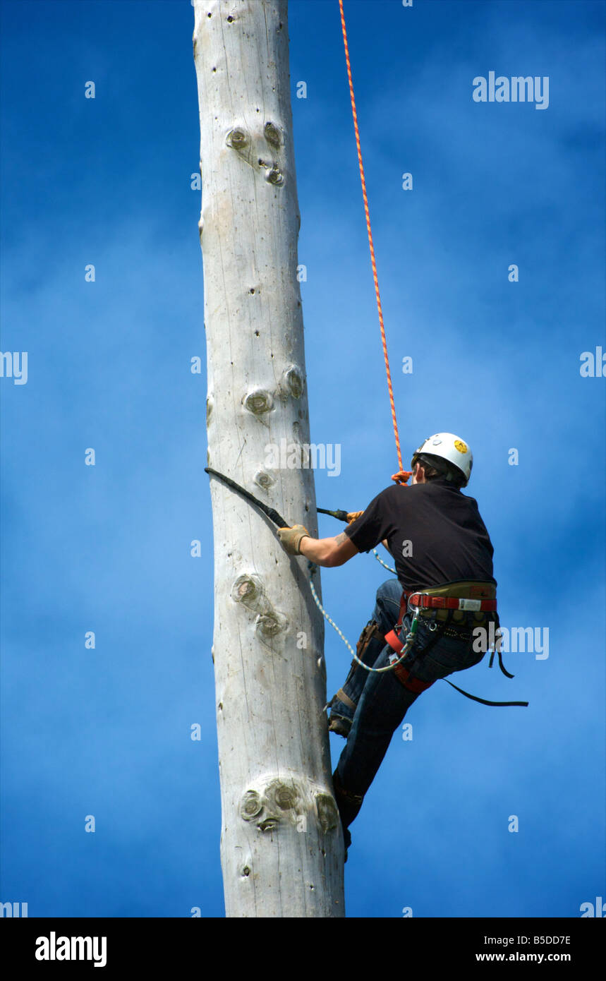 Pole tree trunk rope sport climbing safety helmet harness hi-res stock ...