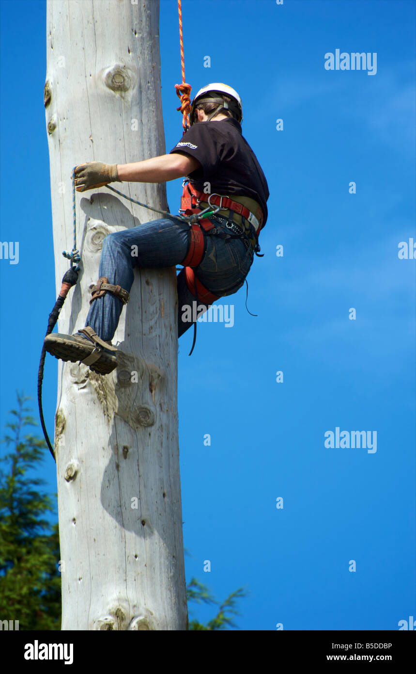Pole climbing competition hi-res stock photography and images - Alamy