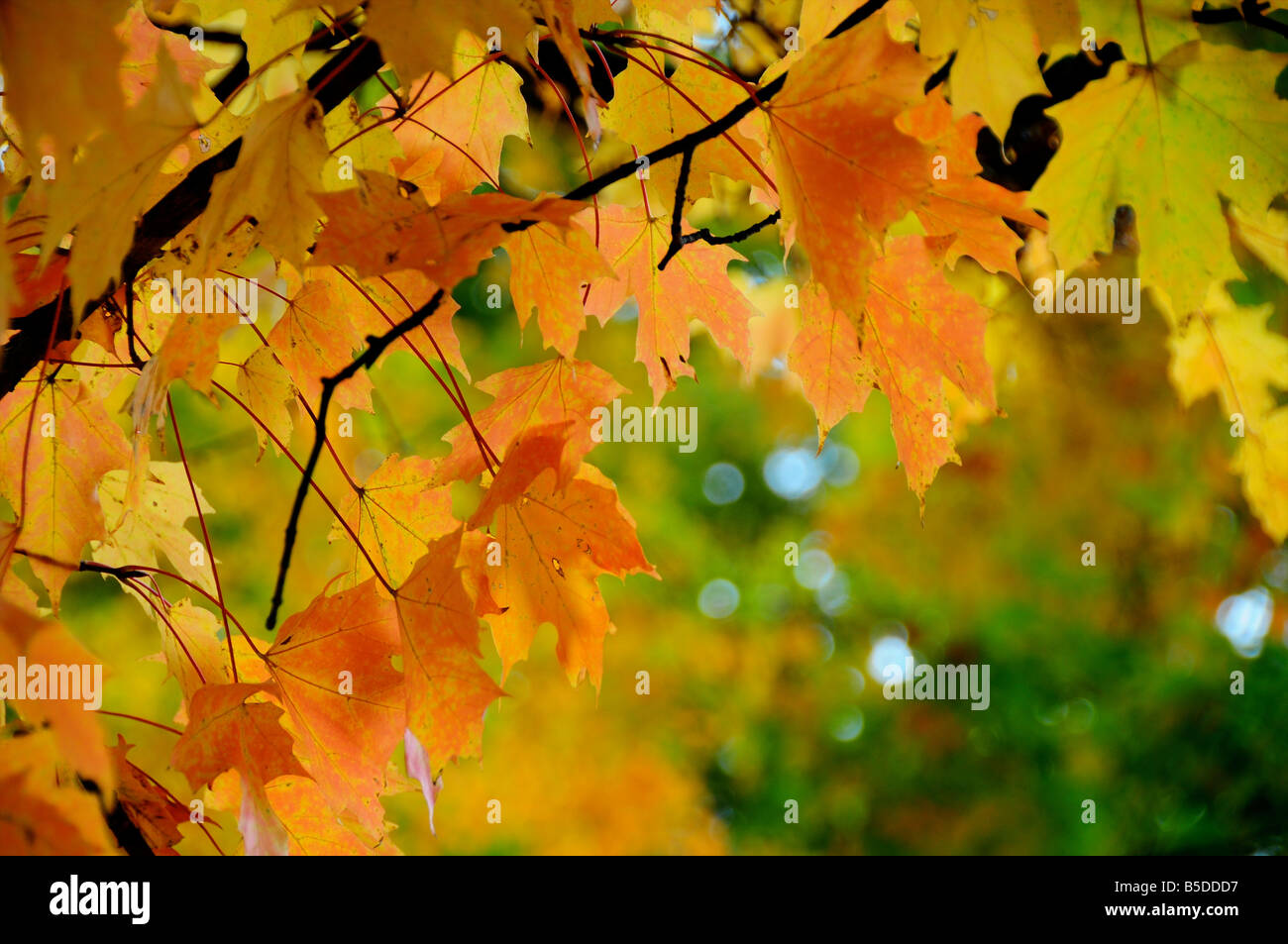 Changing colours hi-res stock photography and images - Alamy