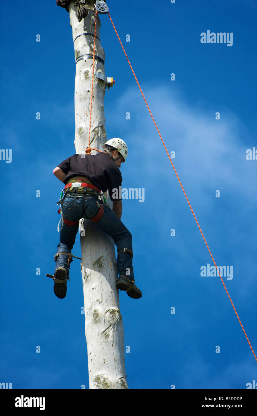 Pole tree trunk rope sport climbing safety helmet harness hi-res stock ...