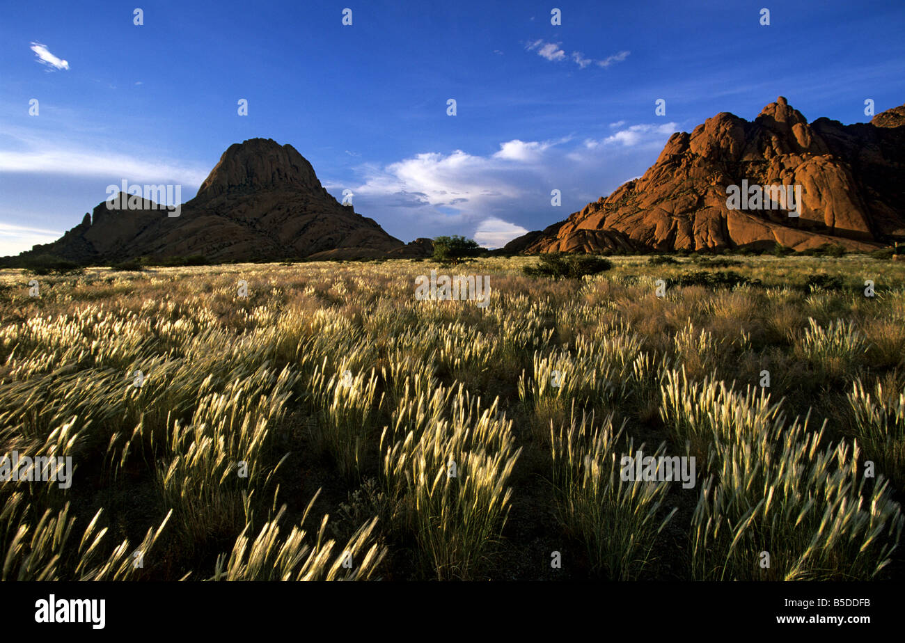Mountain Spitzkoppe in Namib Desert near Usakos Namibia Stock Photo - Alamy