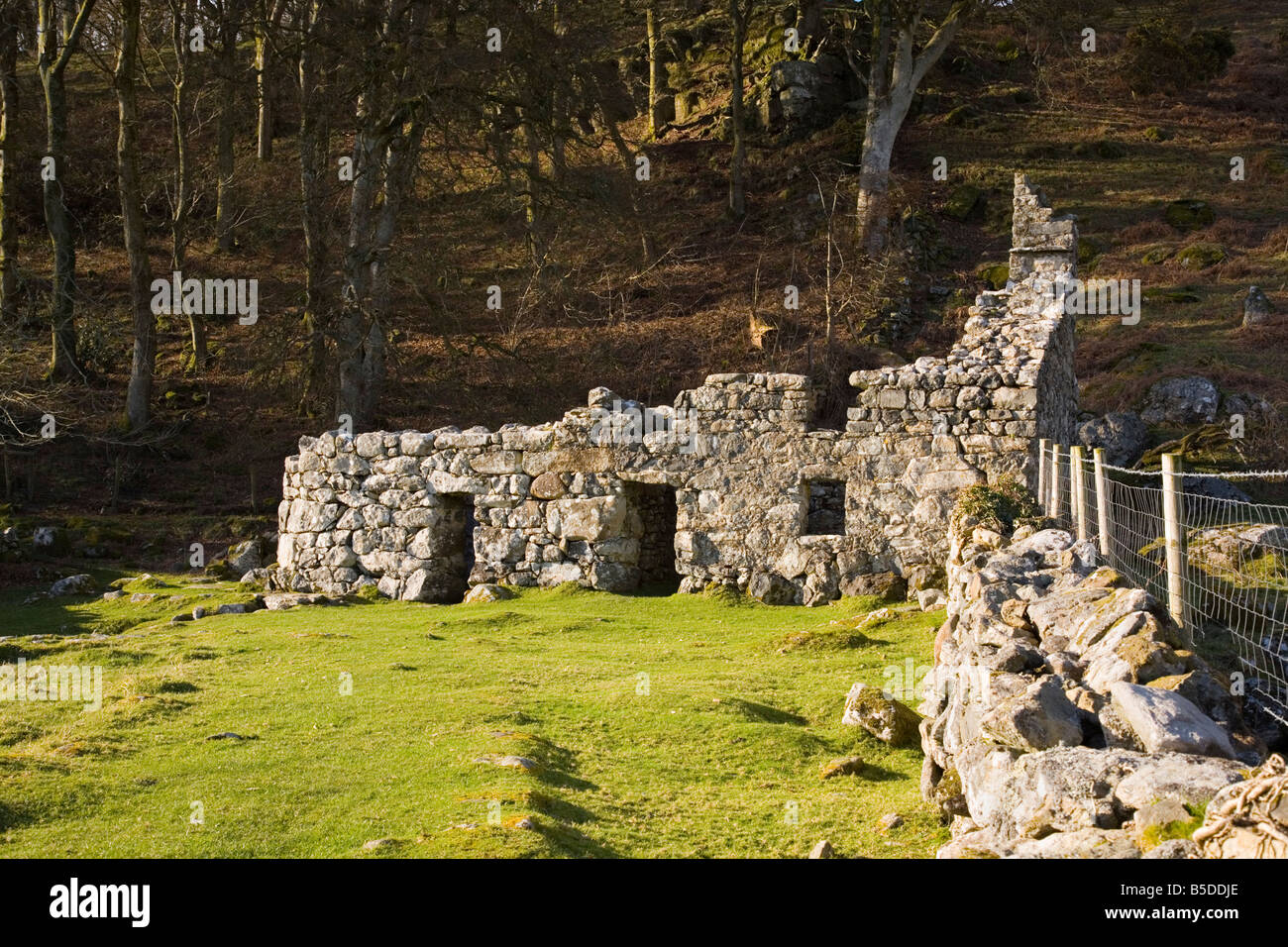 Holy well, wales hi-res stock photography and images - Alamy