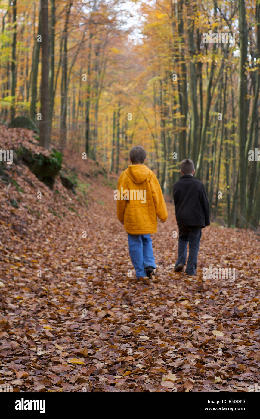 Two children walking on a forest trail Stock Photo - Alamy