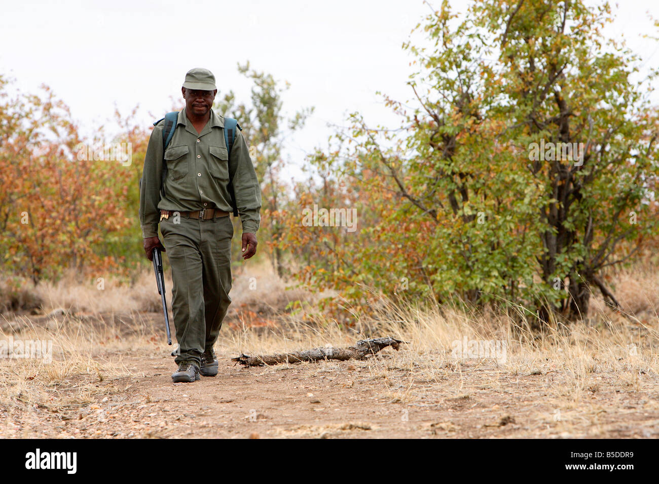 Field guide with rifle - Kruger National Park, South Africa Stock Photo ...